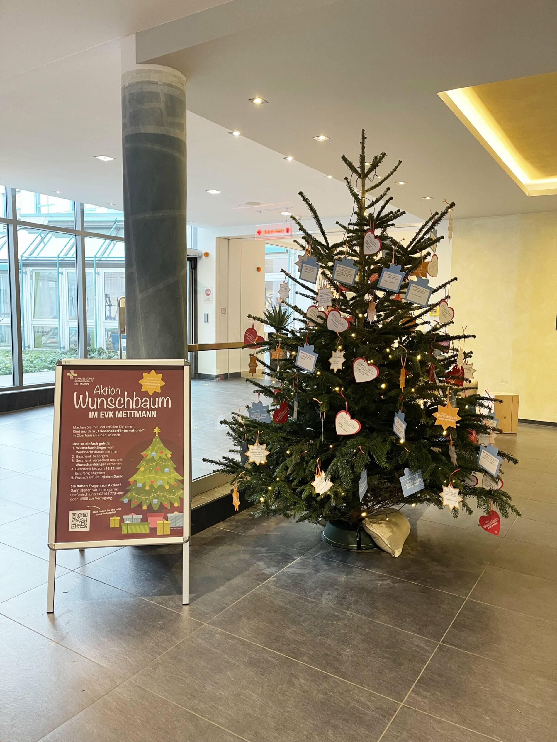 Aufgestellt: Wunschbaum für den guten Zweck