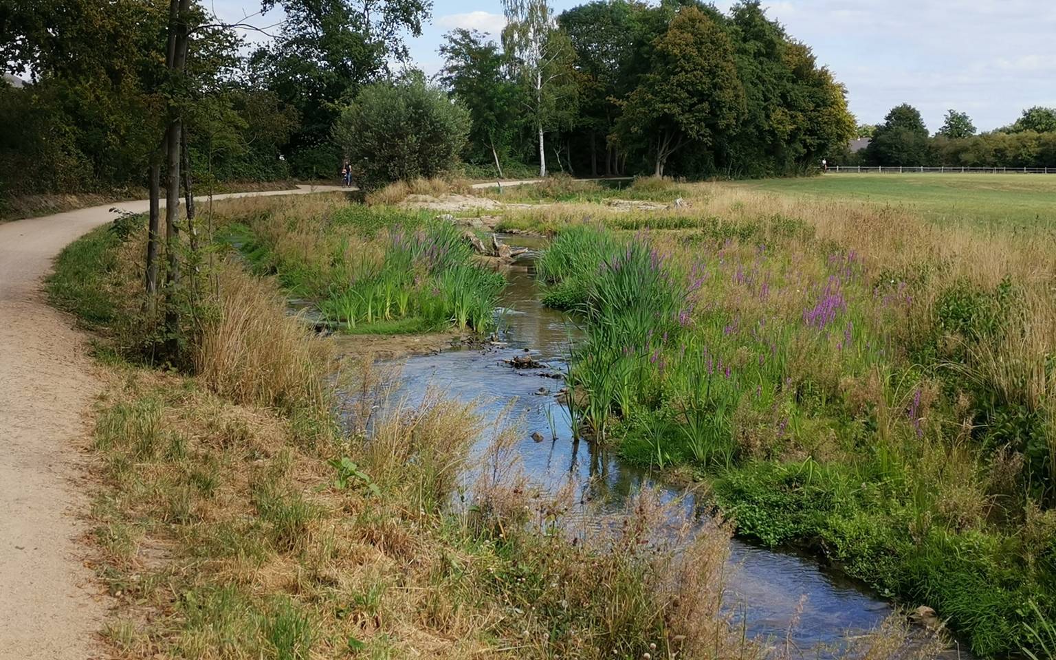 Sankt Martin weckte den Hoppeditz in Unterfeldhaus