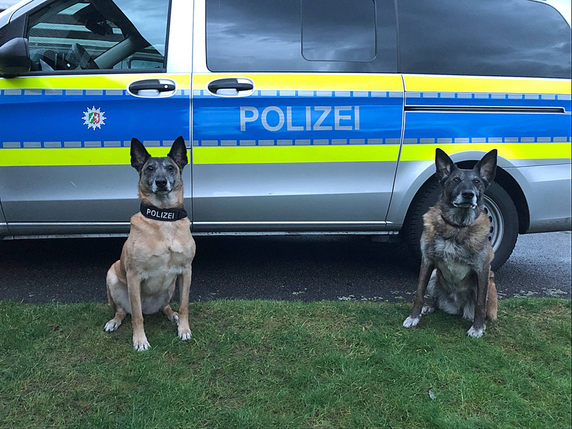 Großer Dank für den geleisteten Einsatz: Polizei verabschiedet zwei ...